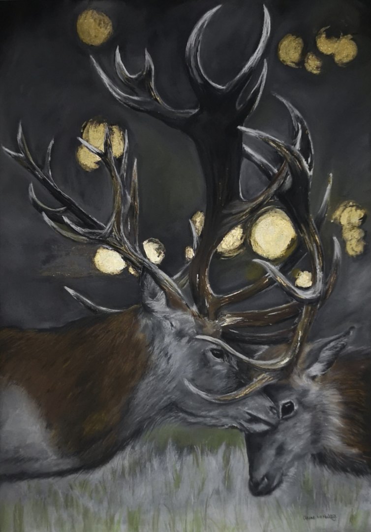 Claire McNulty Art – Fermanagh & Omagh District Council