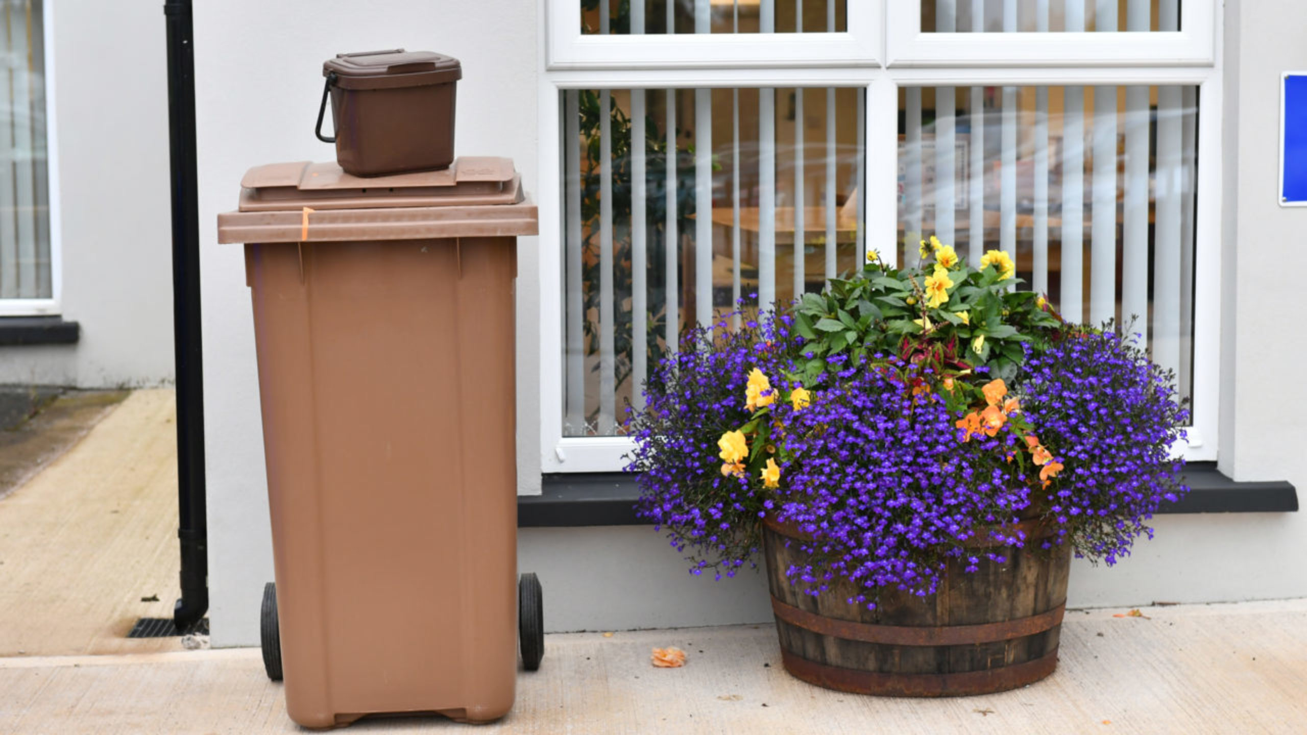 Brown food waste caddy and wheelie bin – Fermanagh & Omagh District Council
