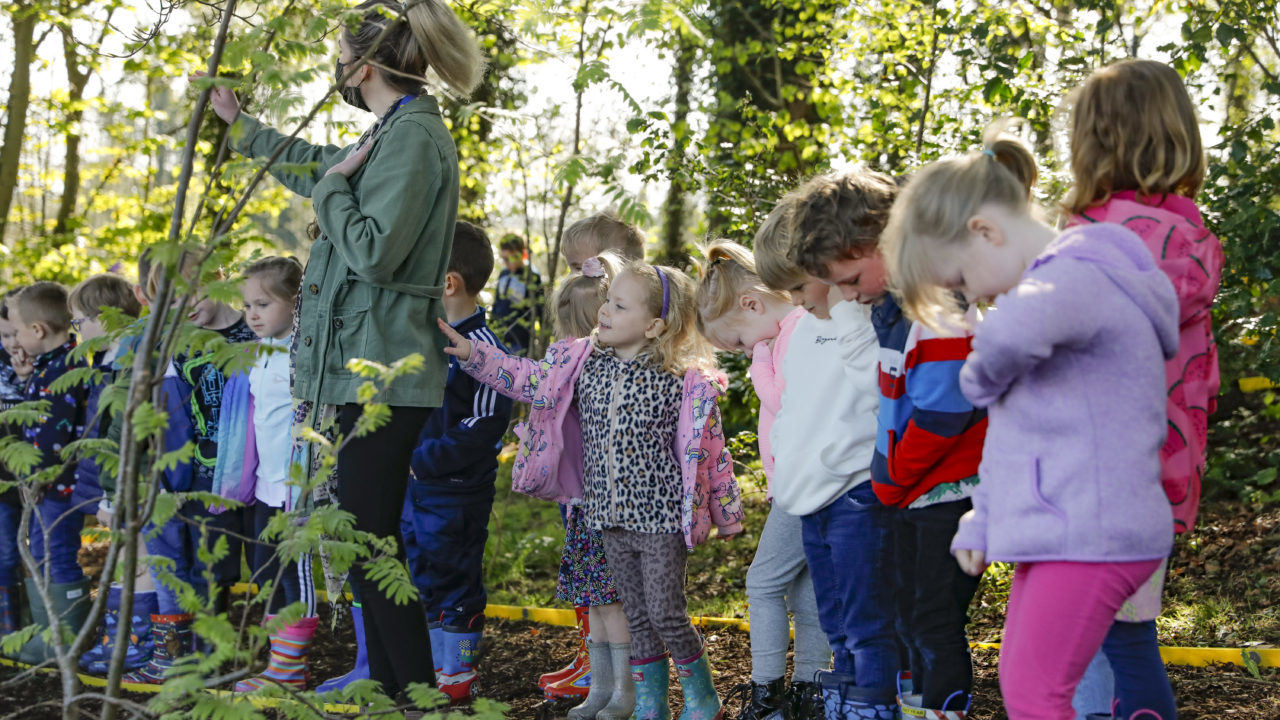 Forest Schools Programme – Fermanagh & Omagh District Council