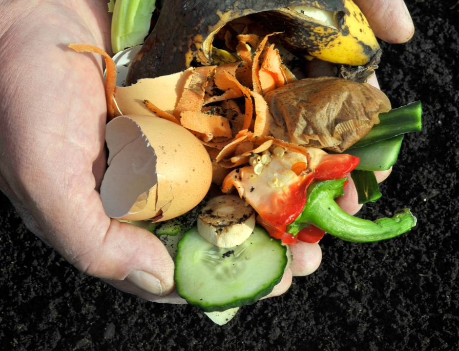 Council encourages home composting during International Compost ...