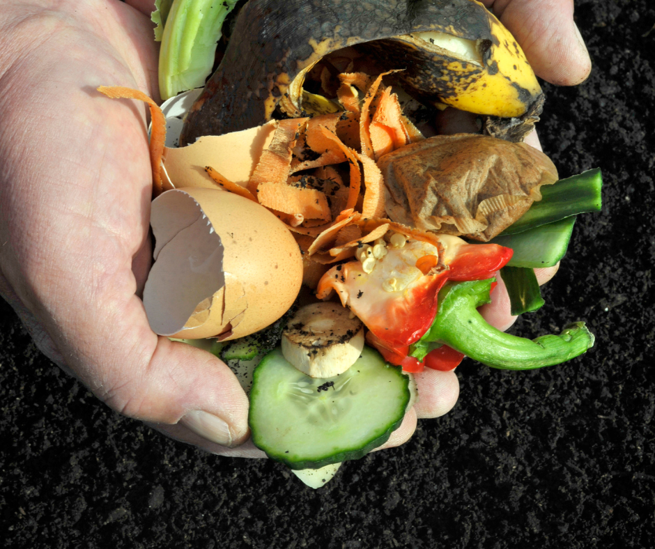Council encourages home composting during International Compost ...